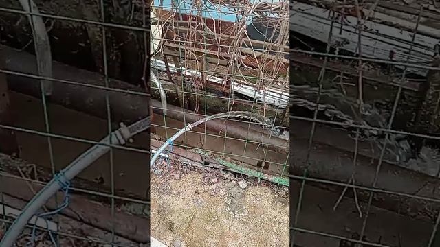 Под чёрными песками нашли золото