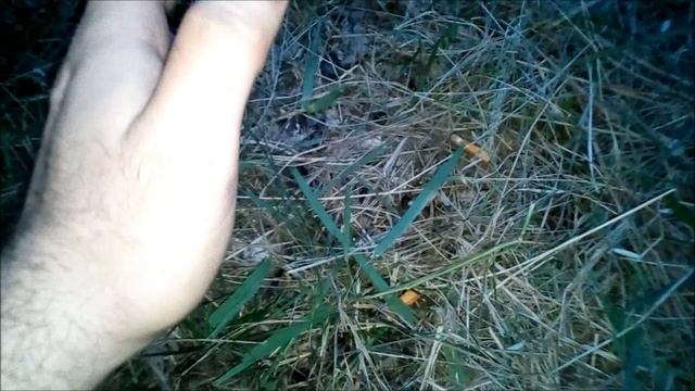 как ускорить работу компьютера! лайфхак!