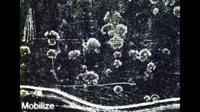 Mobilize - Lost Quantum