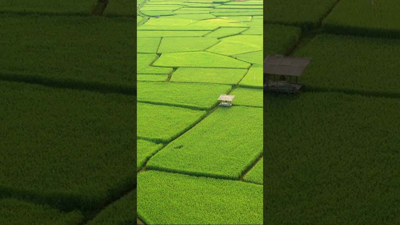 как выбрать участок для покупки. Часть 1 #shorts #АэНБИ #недвижимость