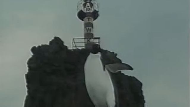 67 1990 Los liliputienses en la Antartida - Подводная одиссея команды Кусто