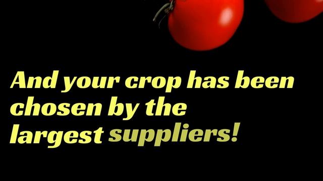 Мы годами подбираем для вас лучшую сельхозтехнику! #Сельскохозяйственнаятехника