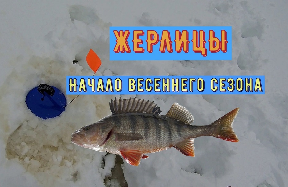 ЖЕРЛИЦЫ/ОТКРЫТИЕ ВЕСЕННЕГО СЕЗОНА!