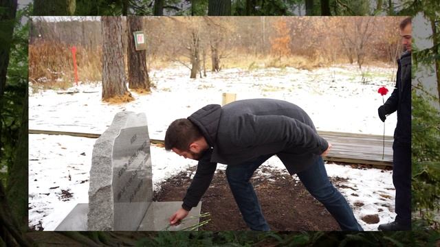 Дайджест ноябрь 2022