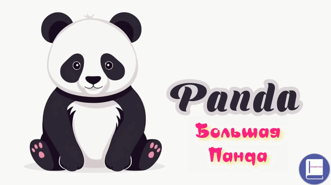 Рубрика "Животные планеты", выпуск №1 "Большая Панда"