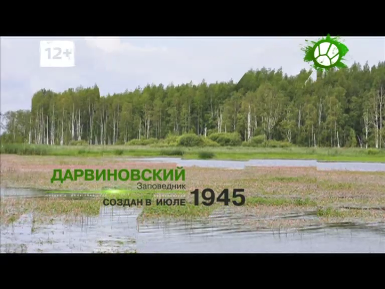 Заповедники России. Дарвиновский заповедник