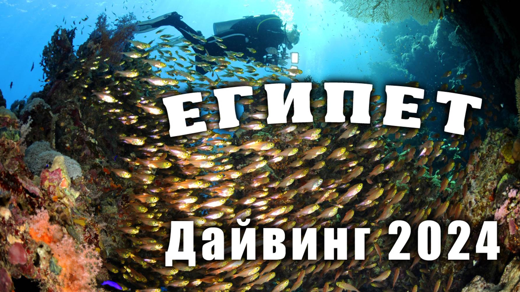 Красное море. Египет. Дайвинг. Июль 2024.