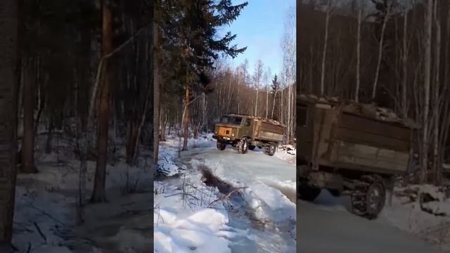 ТАЙГА   ТАЙГА   дороги нет  ♨️ #shorts