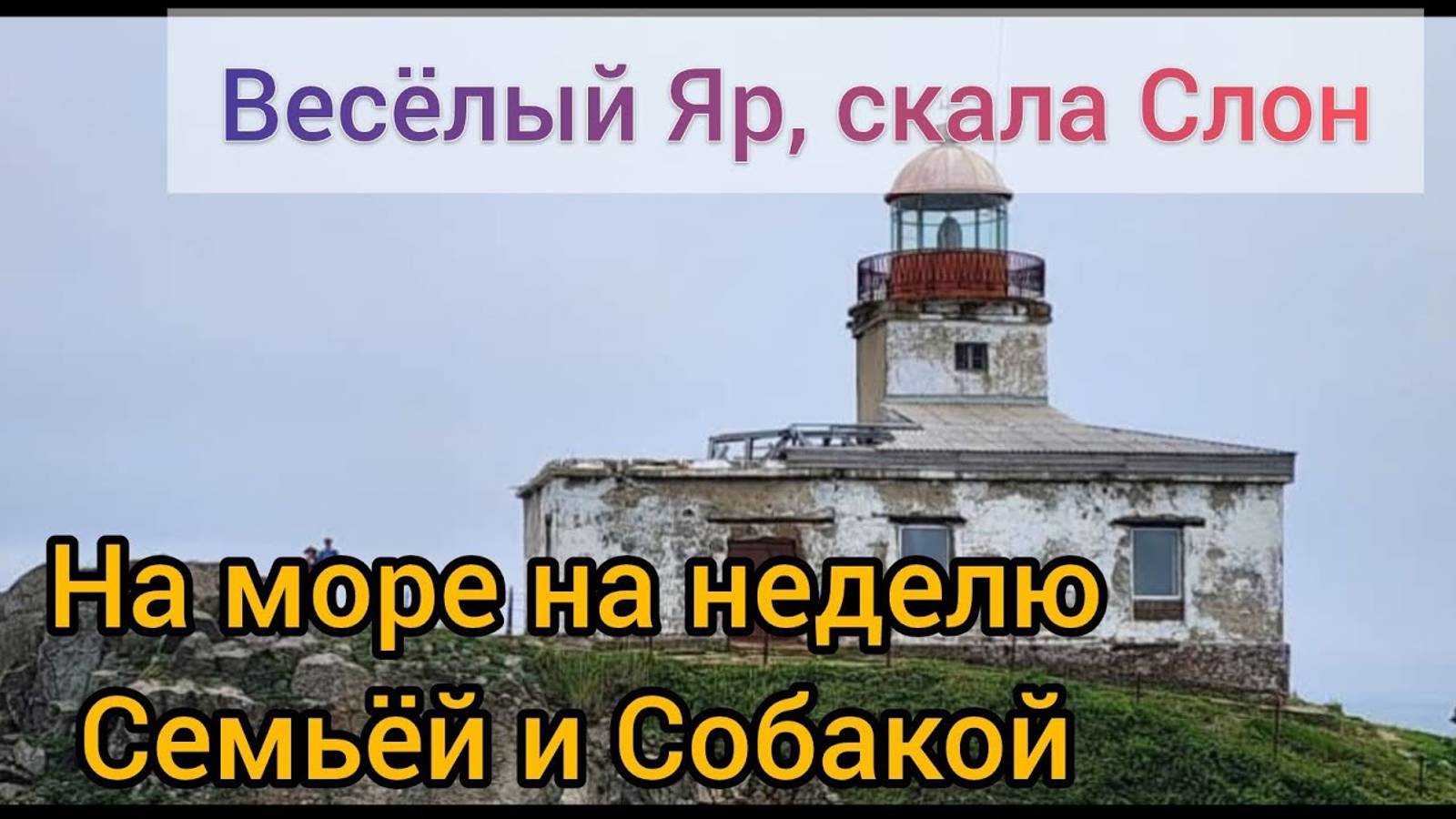 Веселый яр Перешеек поехали семьей и собакой на неделю в палатке на море видели Нерпу с маяк Балюзек