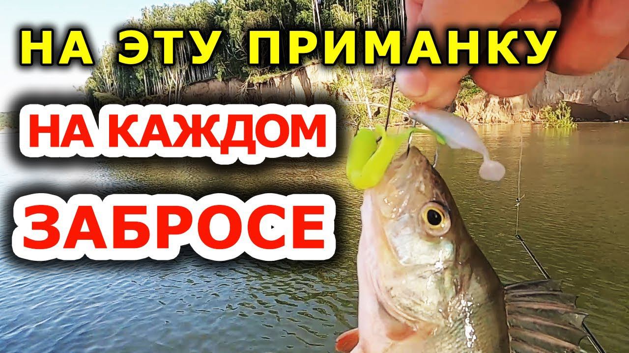 Маленький виброхвост обловил все приманки! Силиконовые приманки. Орка шед. Семейная рыбалка на окуня