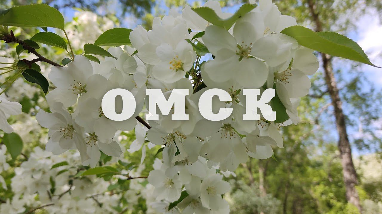 Омск. Майские картинки.