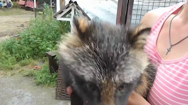 Необычно обычный Верх-Нейвинский