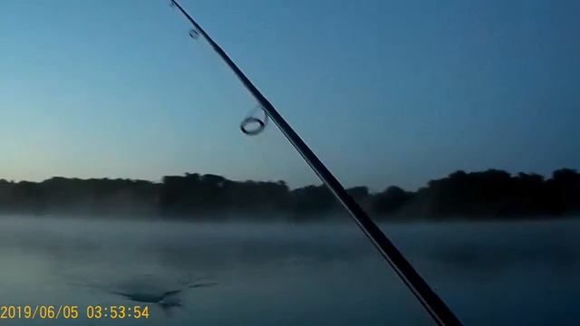 Рыбалка на спиннинг с берега. Ловля судака летом.