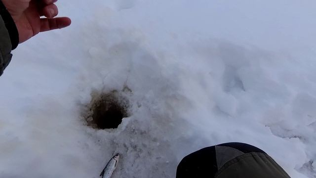 Зимняя рыбалка в январе 2022 года