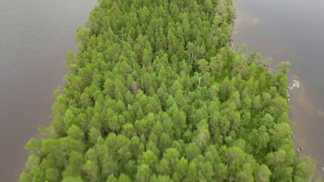 Озеро  Плотичное. Карелия