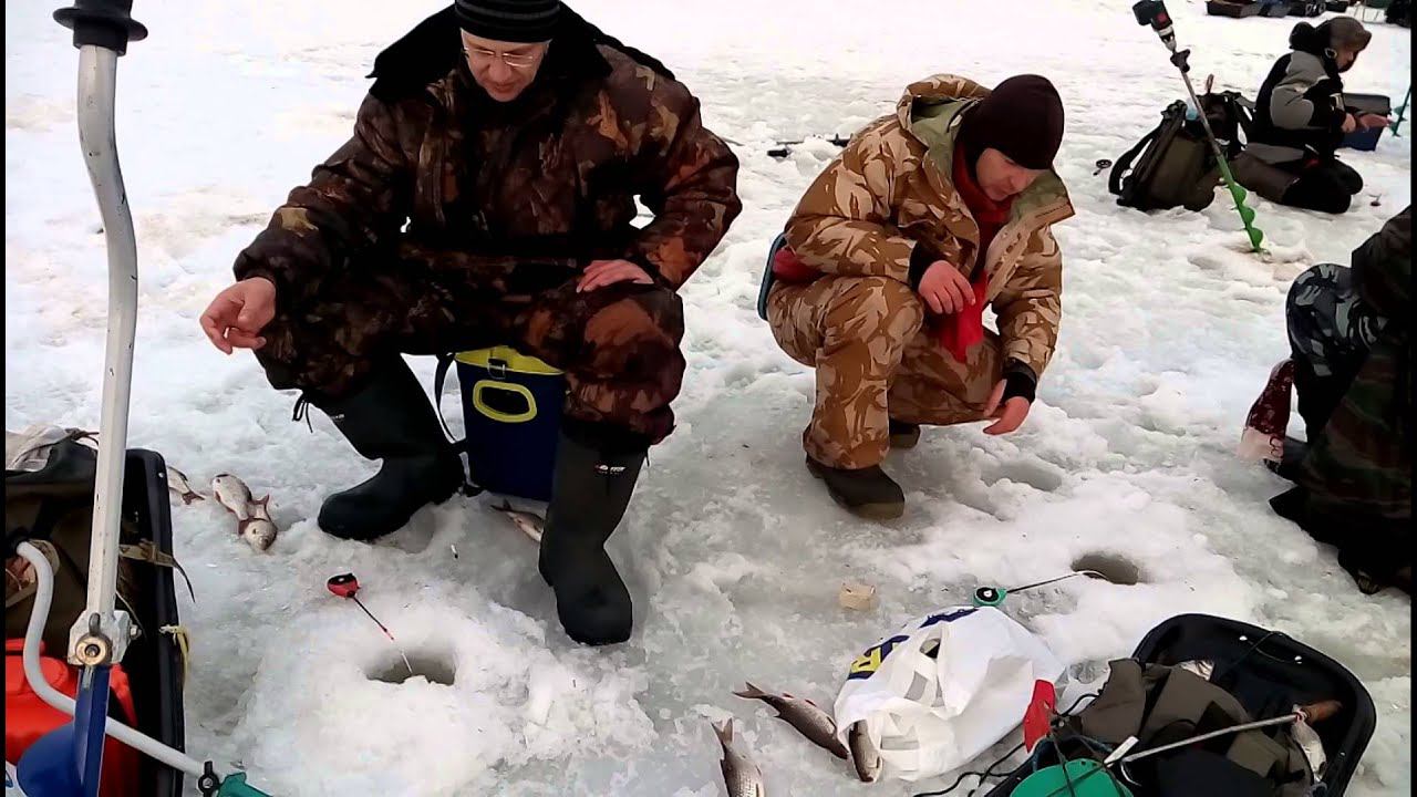 Раздача плотвы на Рыбинском Водохранилище 21.02.2015