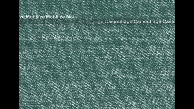 Mobilize - Camouflage