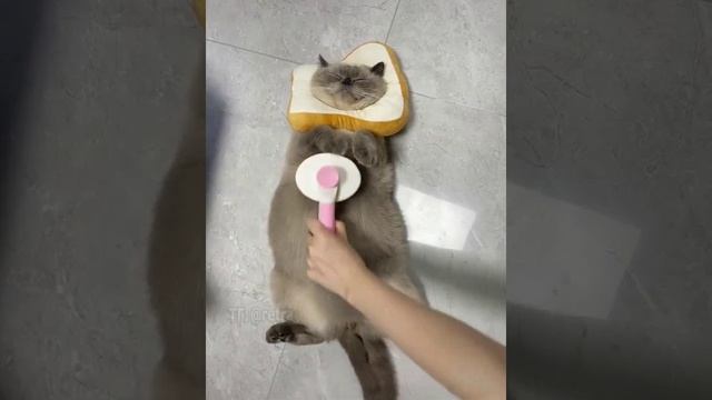 Счастье есть