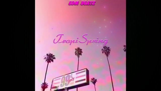 BeatsPack - TropiSpring | Type Beats | Pop\RnB\HipHop\EDM Instrumental