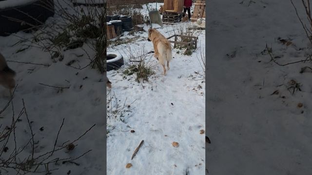 Бригада на прогулке