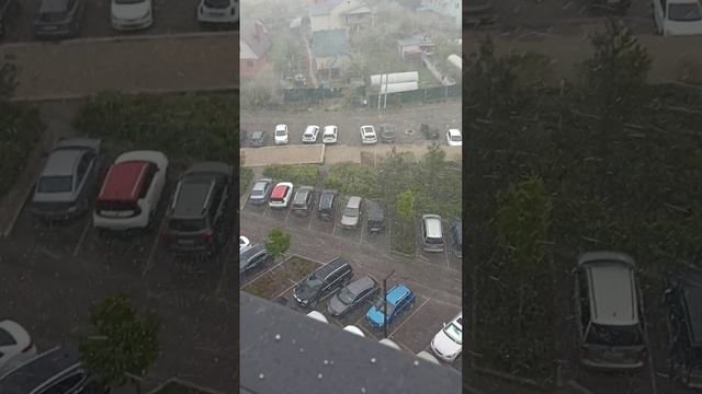 Люблю метель в начале мая #shorts