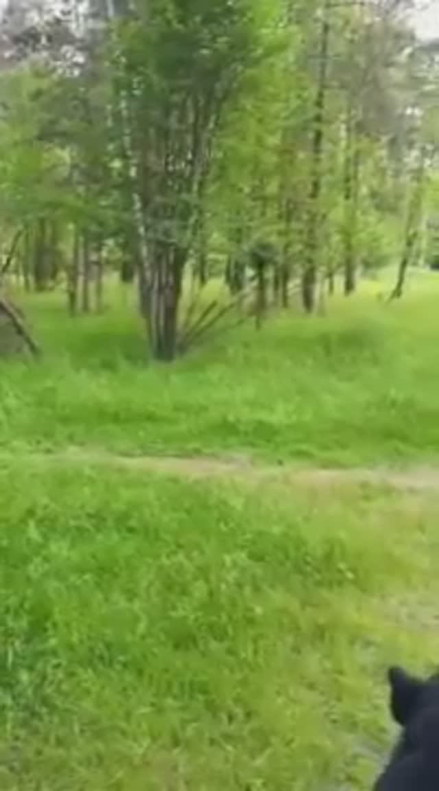 ЗАГОВОР ОТ КЛЕЩА.  ДЛЯ ВСЕХ.  ВЕДЬМИНА ИЗБА. ИНГА ХОСРОЕВА.