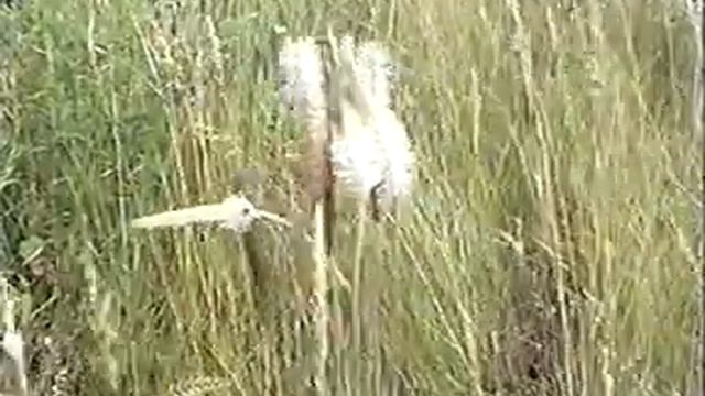 р. Селеты 2002