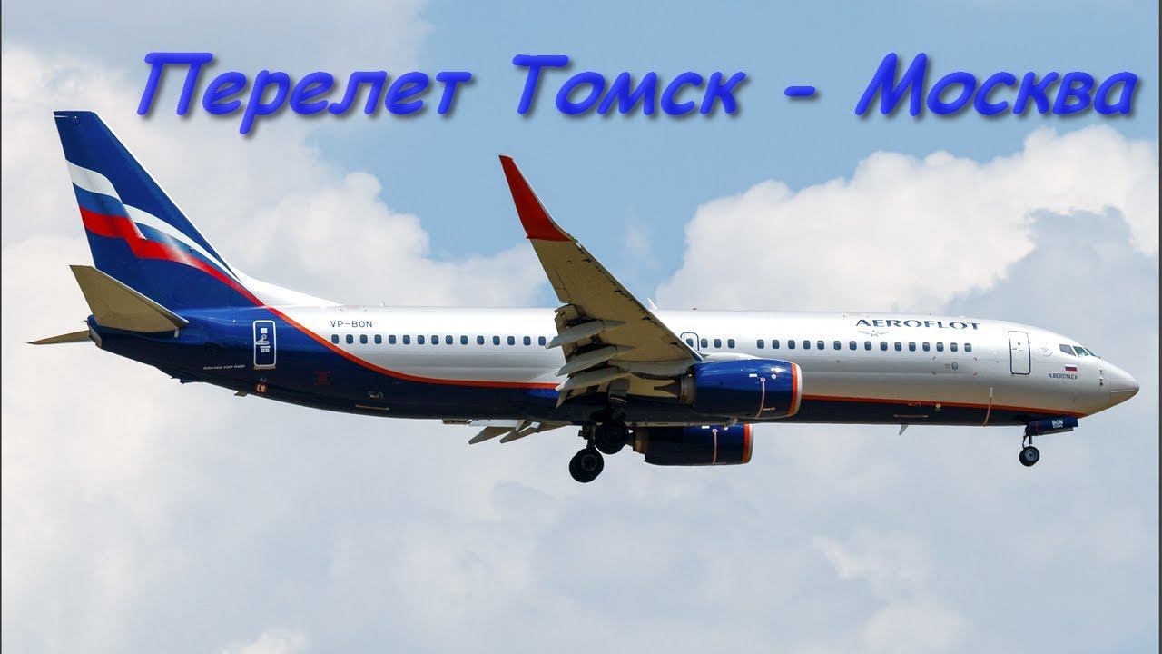 Перелет Томск - Москва. 2018/08