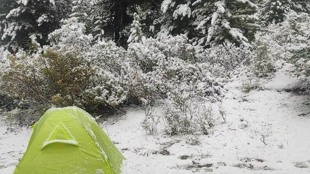 Августовское снежное утро в горах Алтая.