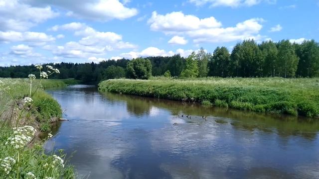 Река Уводь. ч.3. Июнь 2023
