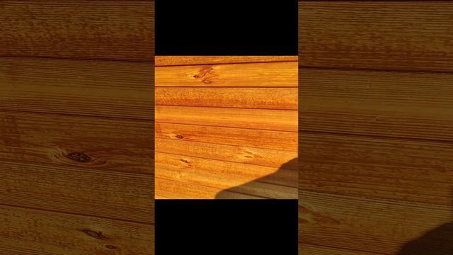 Покрыл лаком душ