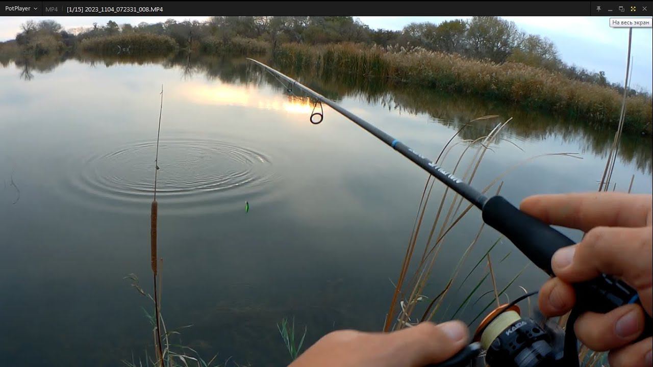 Это моя лучшая рыбалка на этом водоёме... Рыбалка на спининг и на летние жерлицы (кружки)...