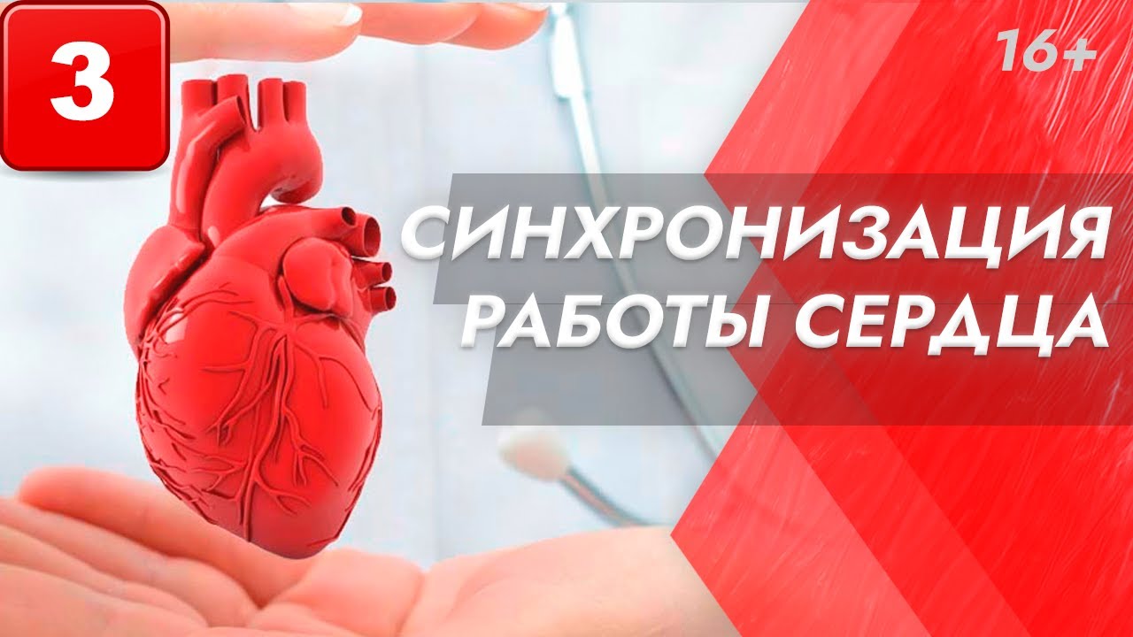 Выпуск 3. Профессор Ардашев А.В. - просто о сложном. Синхронизация работы сердца.