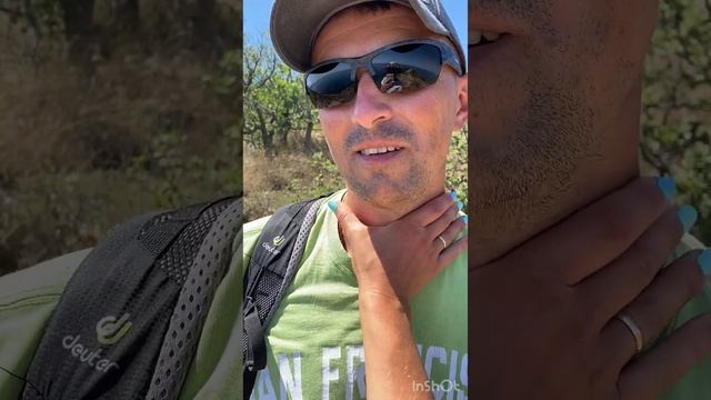 крым 2020 медведь гора