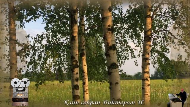 «Берёзы»
группа "Любэ"