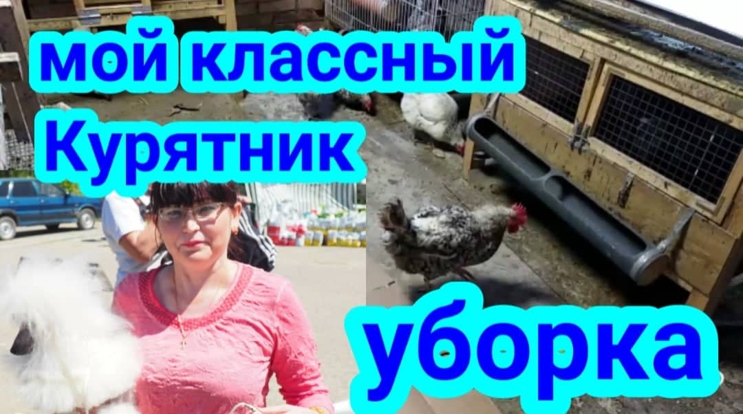 Уборка в курятнике зимой Сварила суп