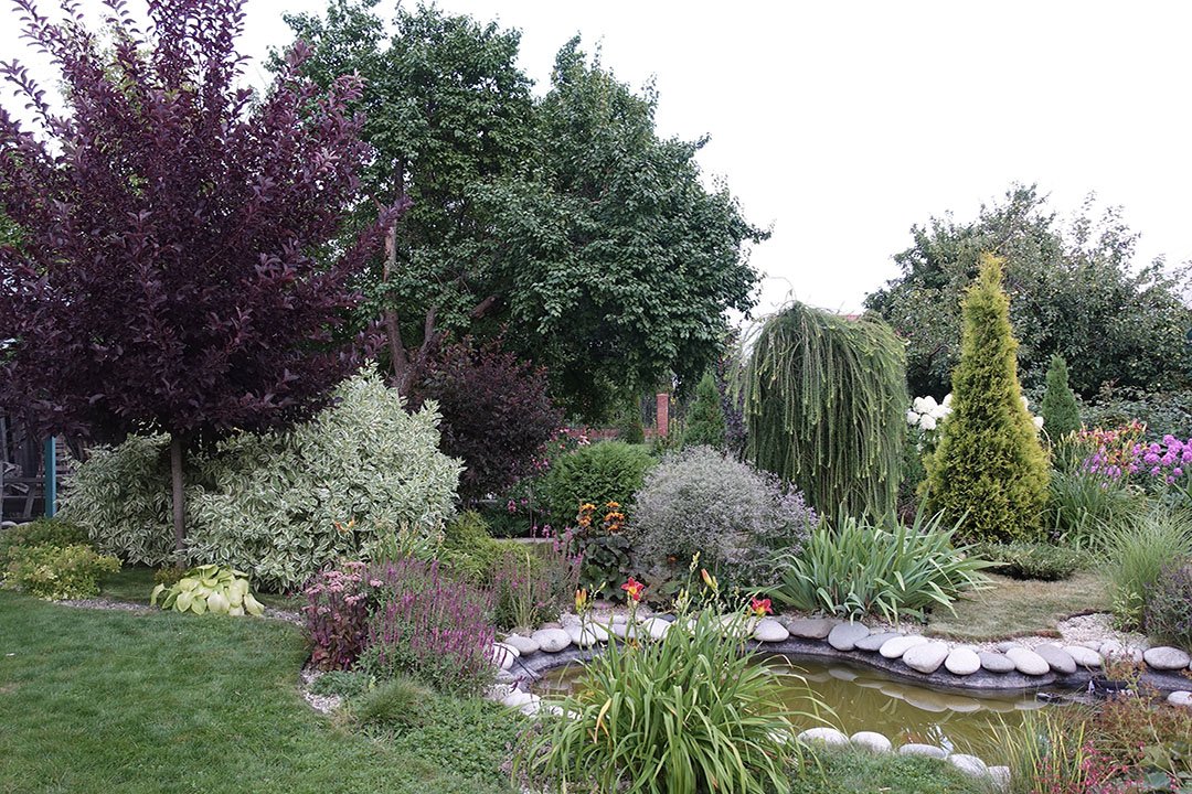 СКАЗКА на 5 СОТКАХ/  ЛЕТО.mp4