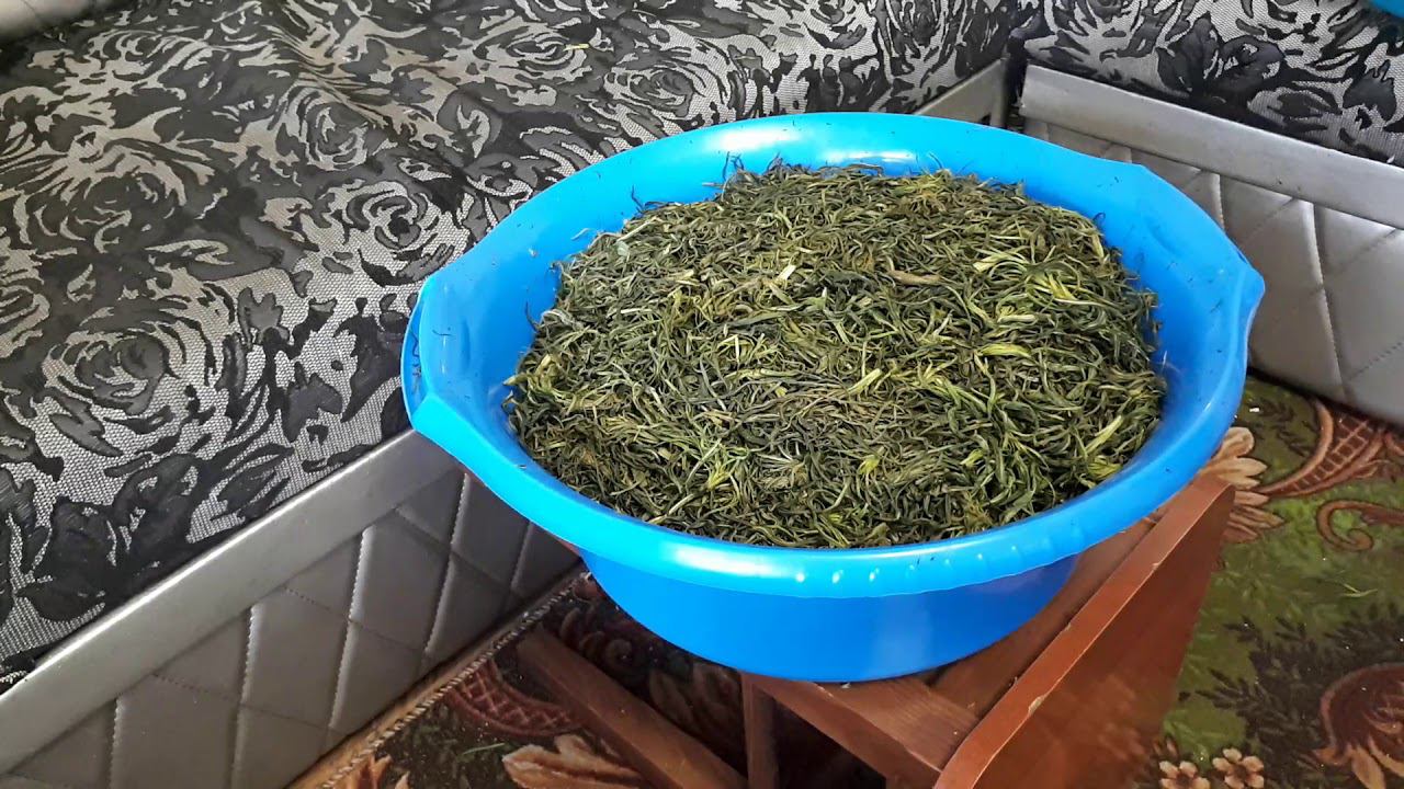 3. Иван чай, трём, мнём.