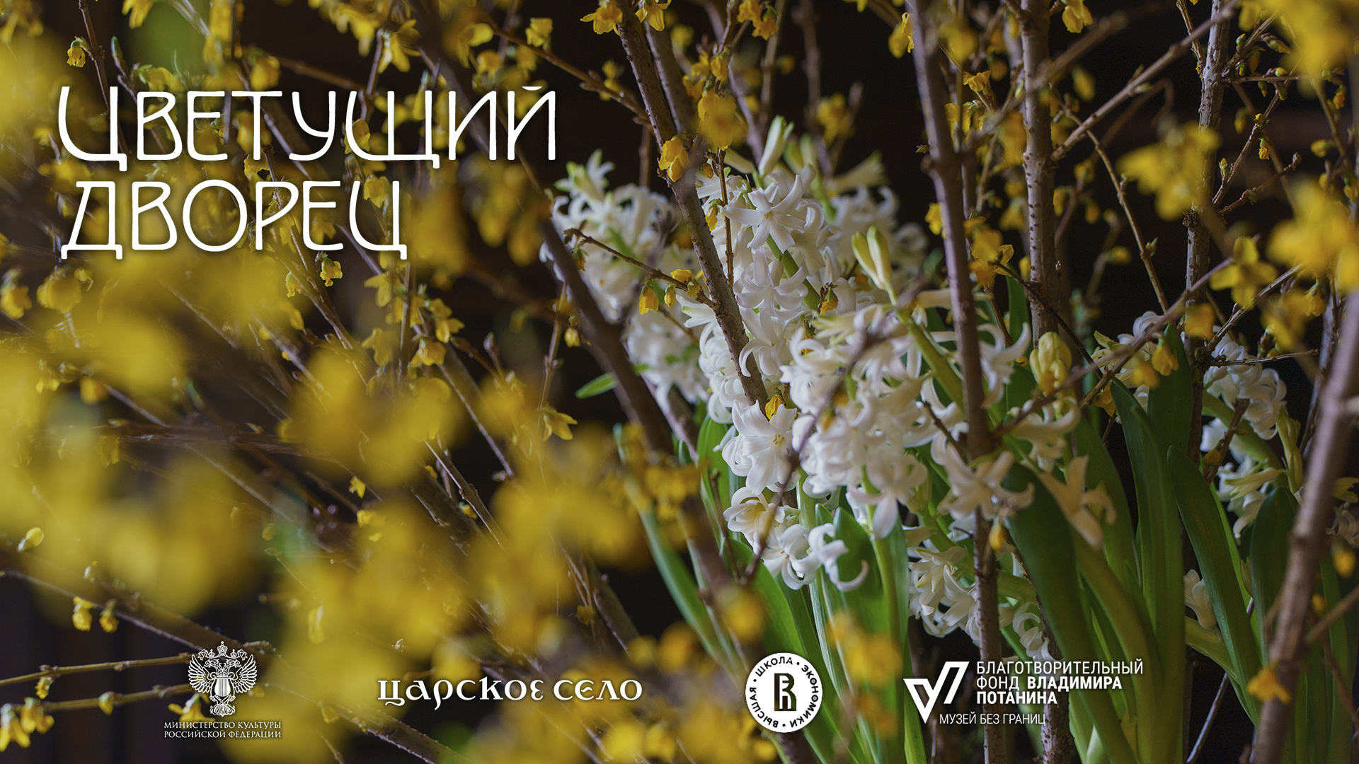 Цветущий дворец. Март 2024