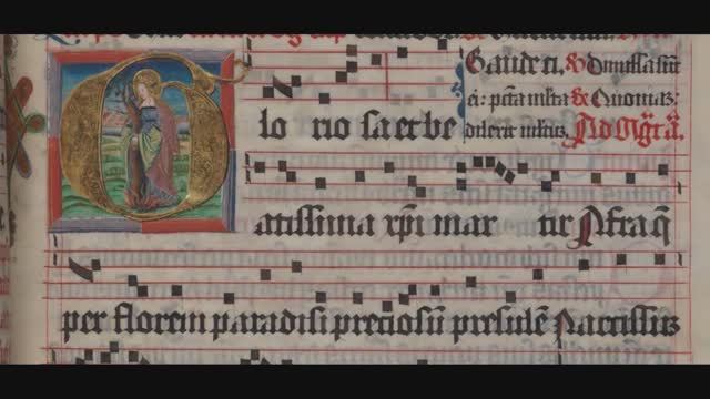 Gloriosa et beatissima martyr Afra