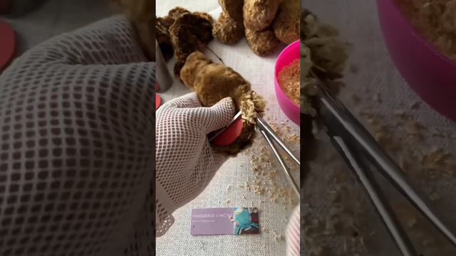 С чего начинается Мишка🧸 Фильм 1 Часть 5