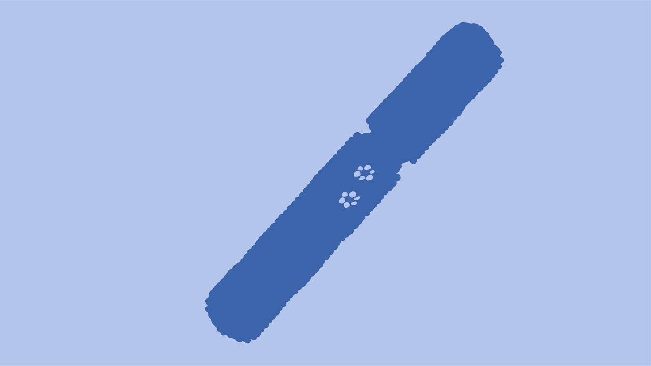 Декоративно-прикладное искусство России XVIII – первой трети XIX века. Бисерное рукоделие