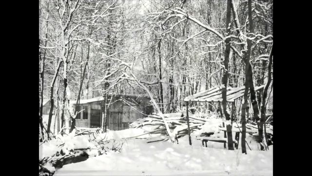 Дача,рожденная в СССР