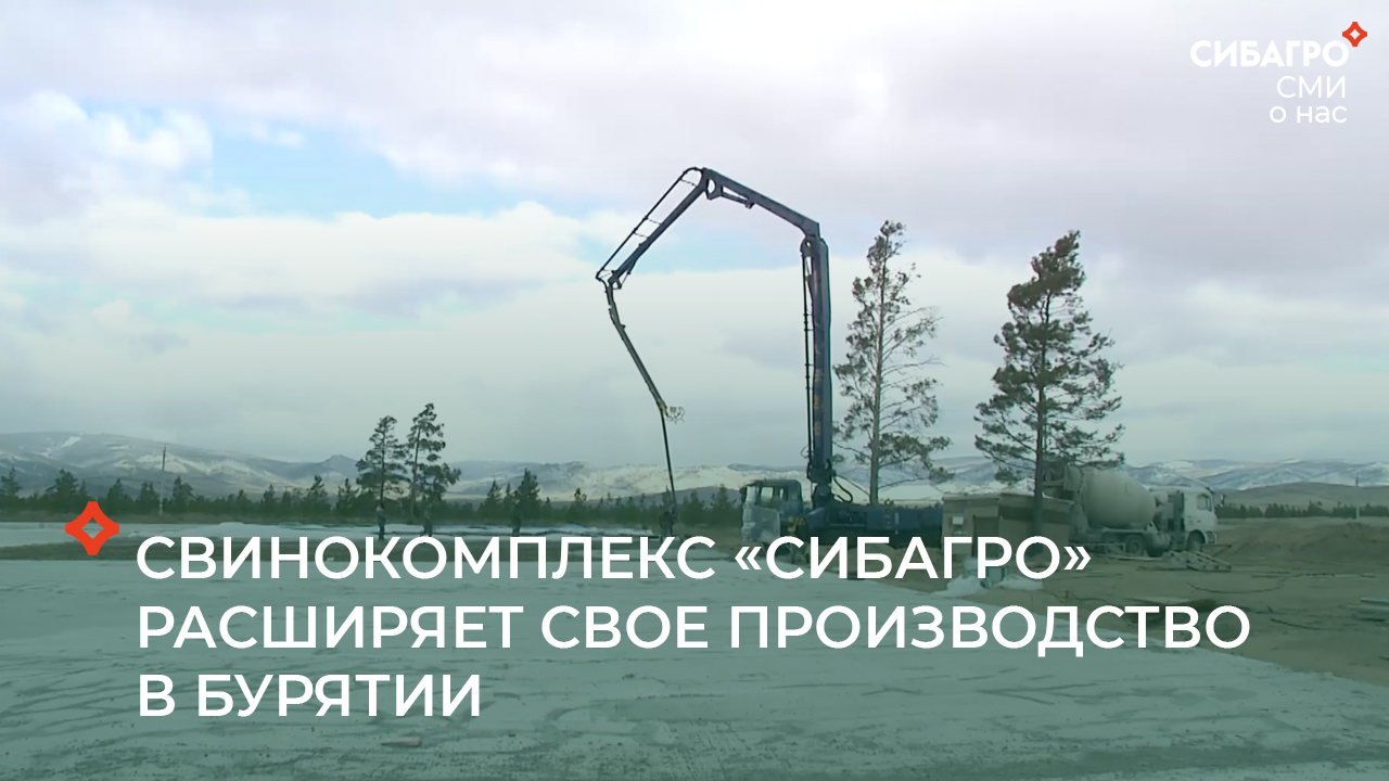 Свинокомплекс "Сибагро" расширяет свое производство в Бурятии