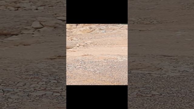 Красное море, Египет , Шарм , Шарм эль ШЕйх