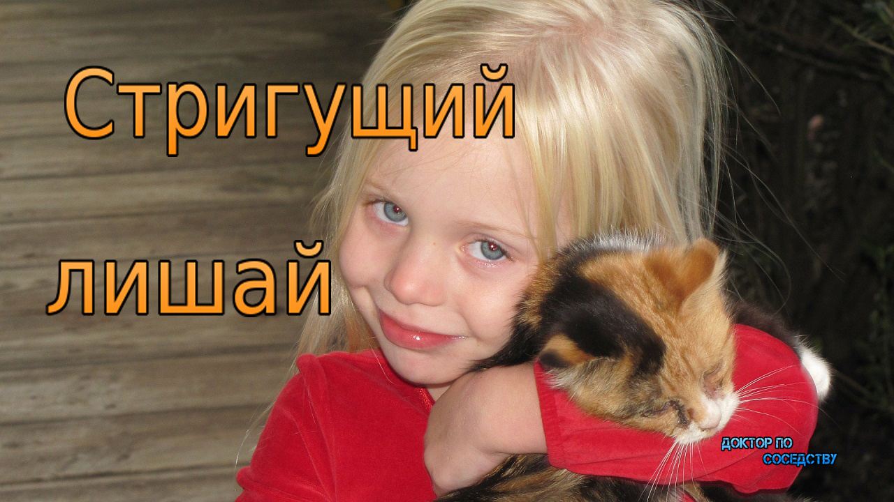 Стригущий лишай. Доктор по соседству.