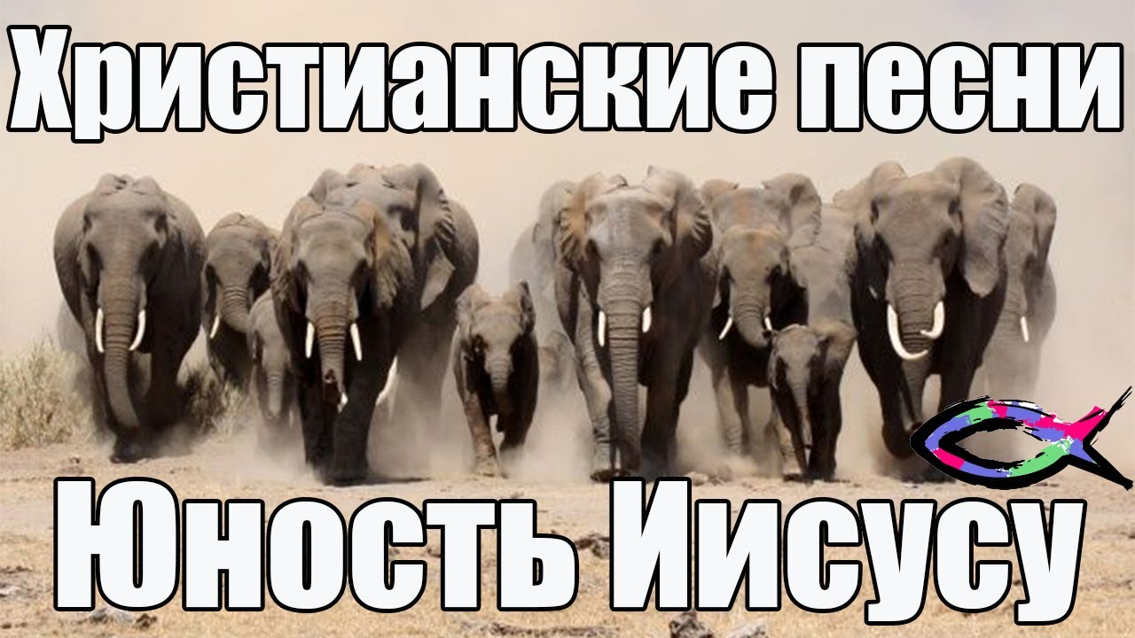 Юность Иисусу