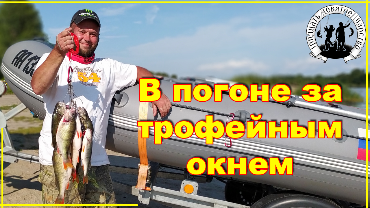 Рыбалка на окуня. Нарвались на окунёвый котёл. Бешеный клёв рыбы.