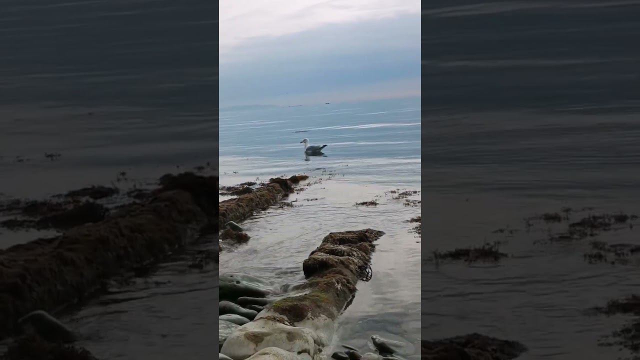 Что может быть прекрасней моря?