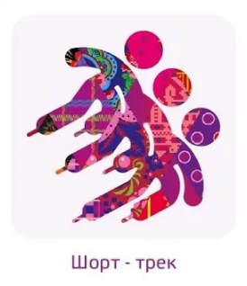 ОЛИМПИАДА. ЗИМНИЕ ВИДЫ СПОРТА. ШОРТ-ТРЕК.
